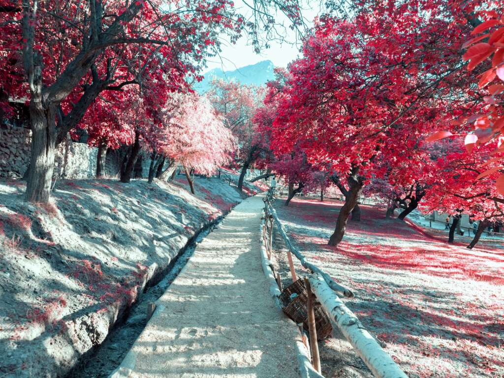 Which country uses Viber the most? - 🚀 RiseKarma